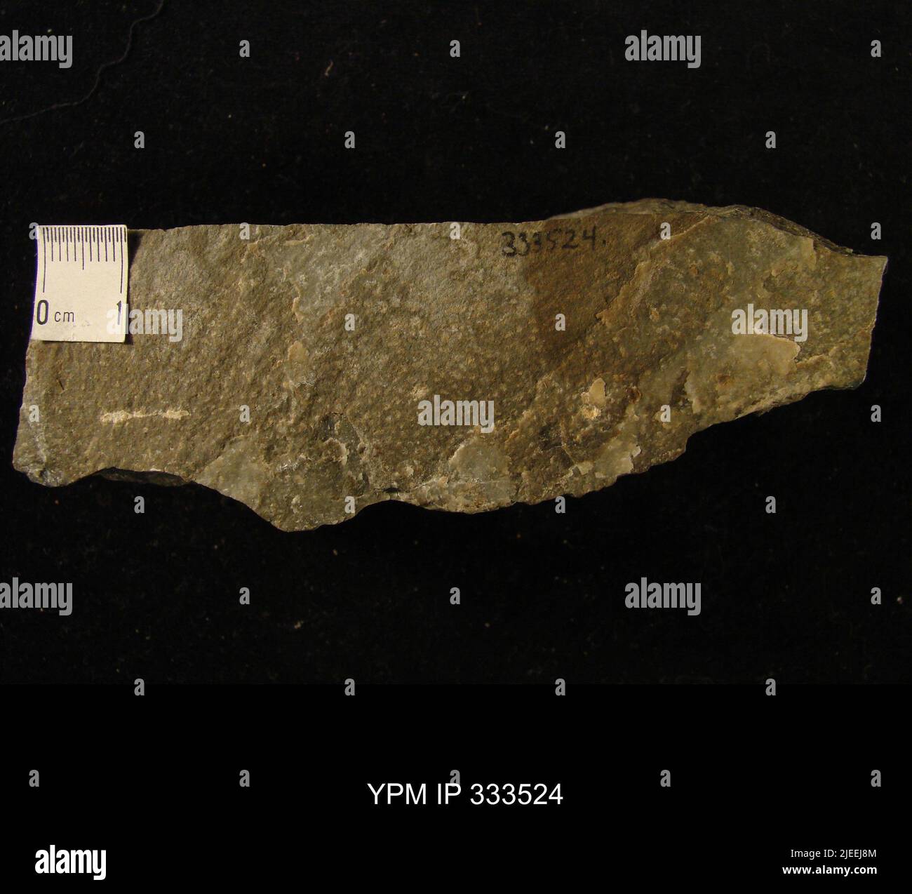 Syringo hi-res stock photography and images - Alamy