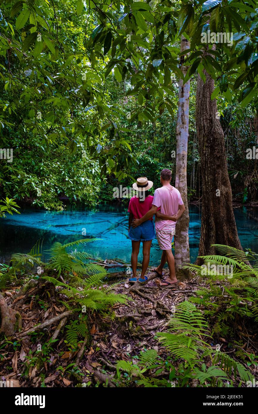 Emerald pool and Blue pool, trees, and mangroves with crystal clear ...