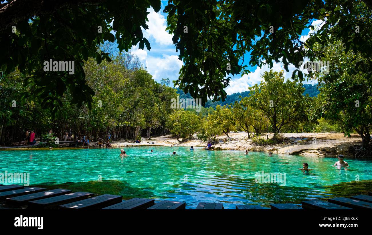 Emerald pool and Blue pool, trees, and mangroves with crystal clear ...