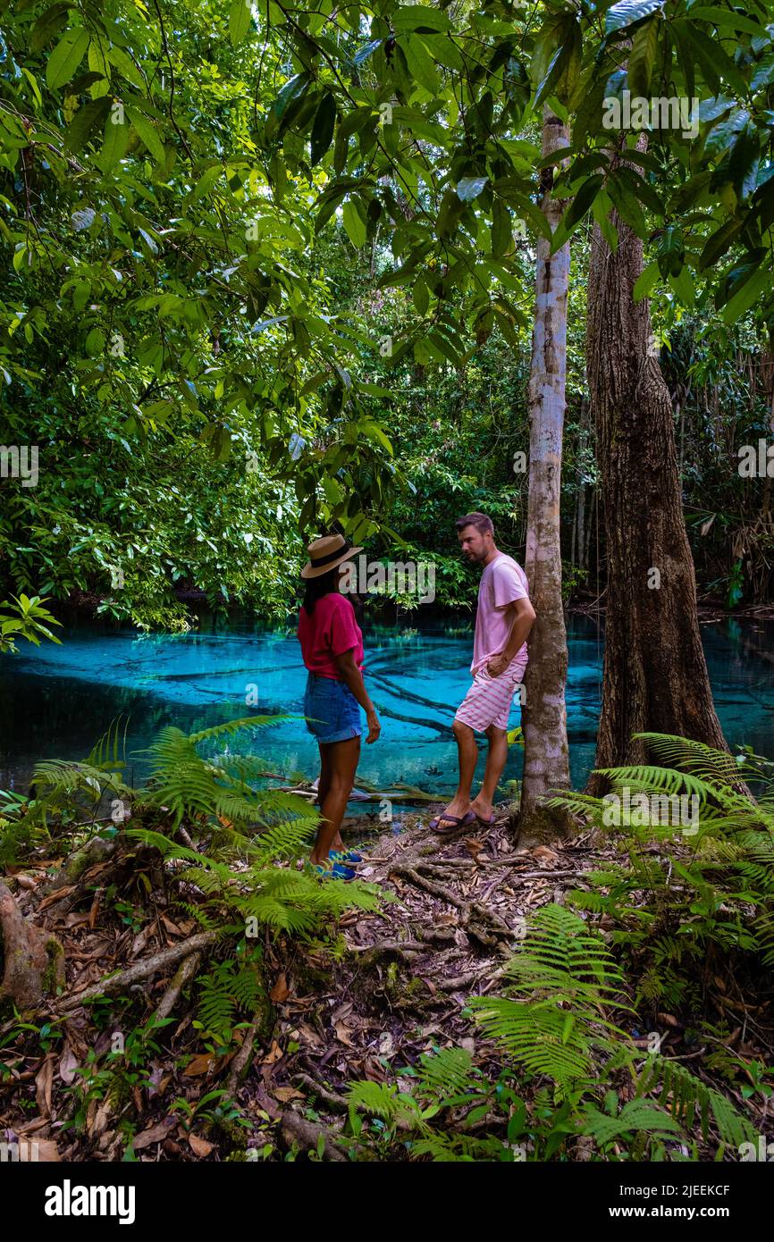 Emerald pool and Blue pool, trees, and mangroves with crystal clear ...
