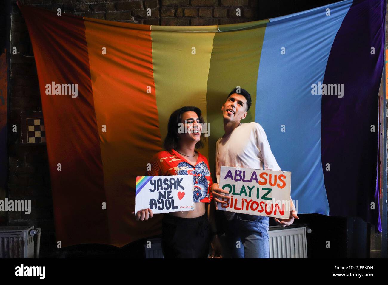 Istanbul, Turkey. 26th June, 2022. Activists with placards pose next to ...
