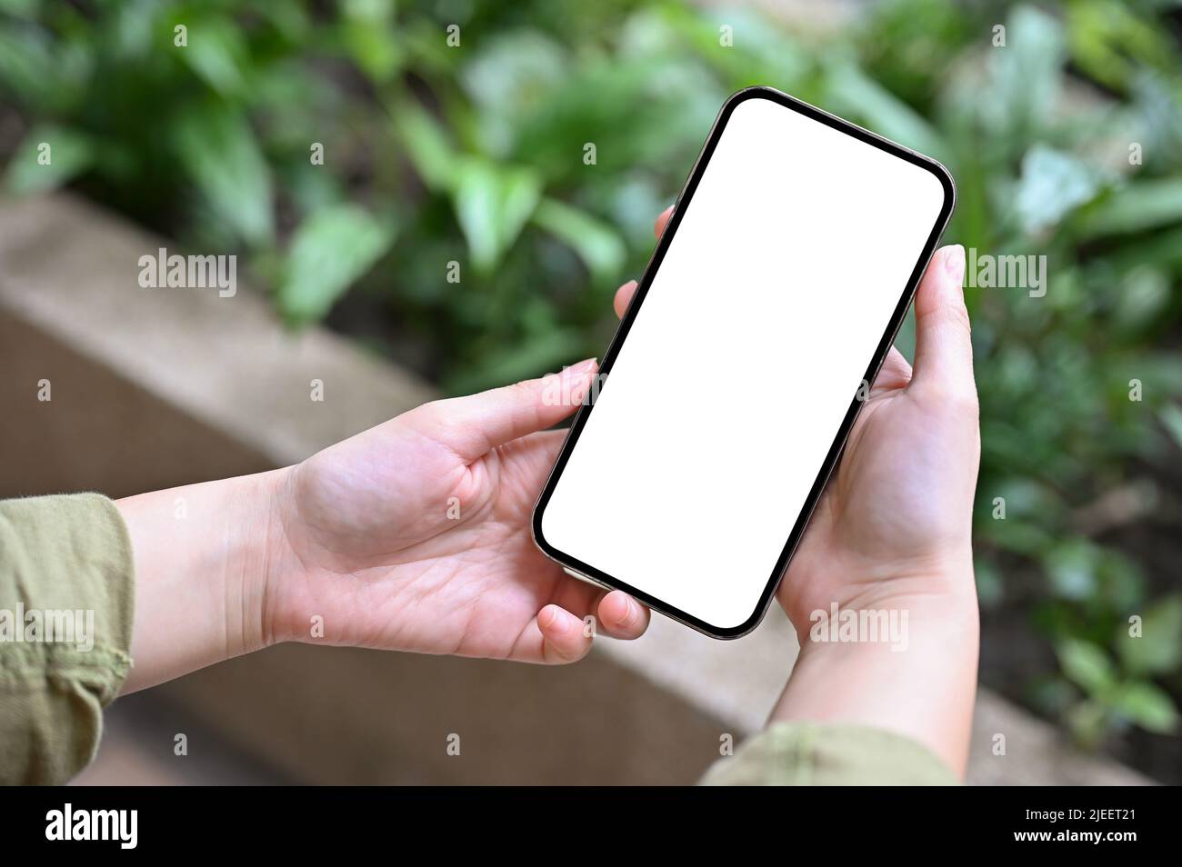 A female hands holding a smartphone white screen mockup over blurred ...