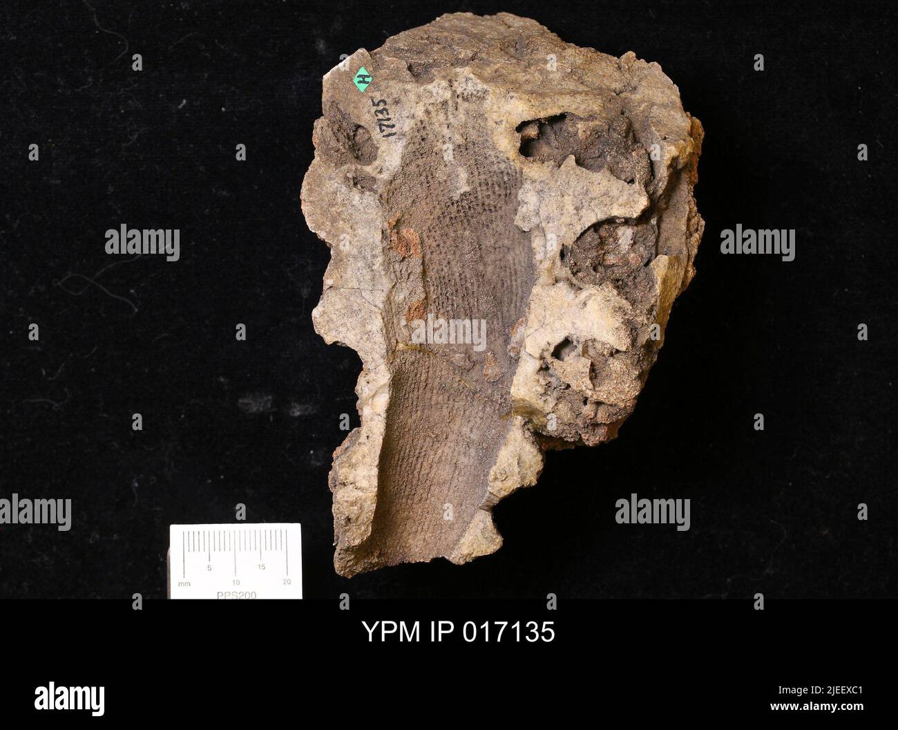 Cullison hi-res stock photography and images - Alamy