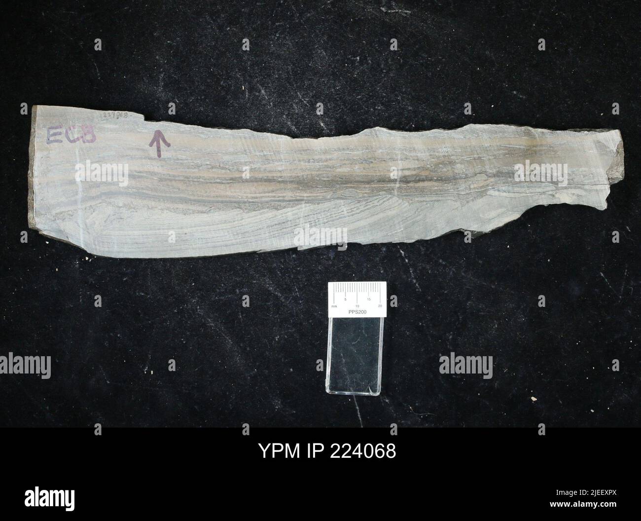 Lithologic hi-res stock photography and images - Alamy