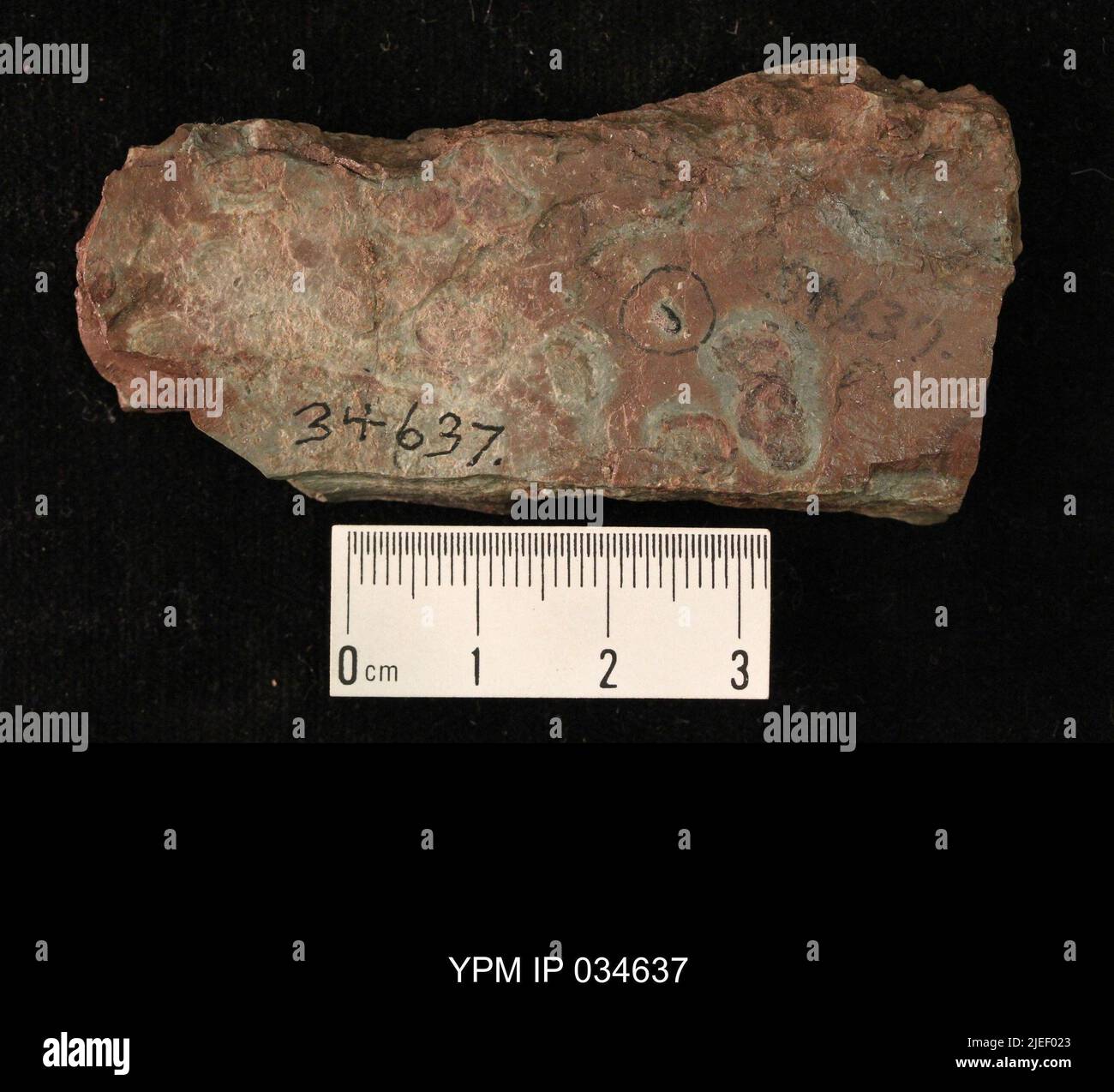 Ipb triangle hi-res stock photography and images - Alamy