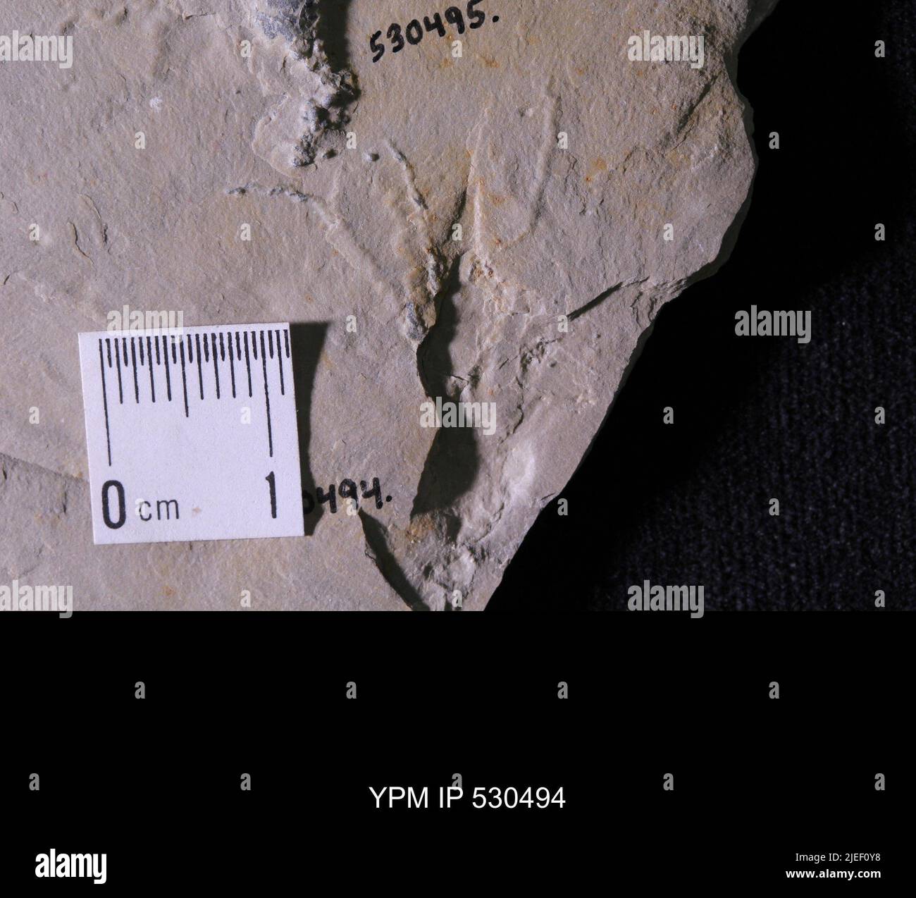 Gogia hi-res stock photography and images - Alamy