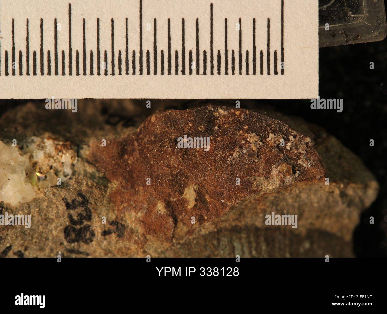 Clast hi-res stock photography and images - Alamy