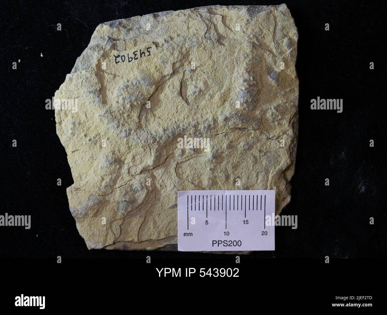 Geobiology hi-res stock photography and images - Alamy