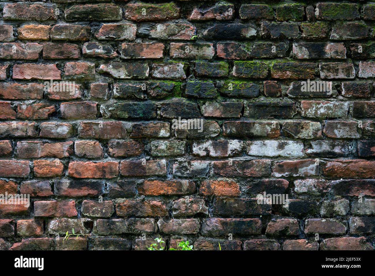 The texture of a red brick wall of an old king's palace Stock Photo - Alamy