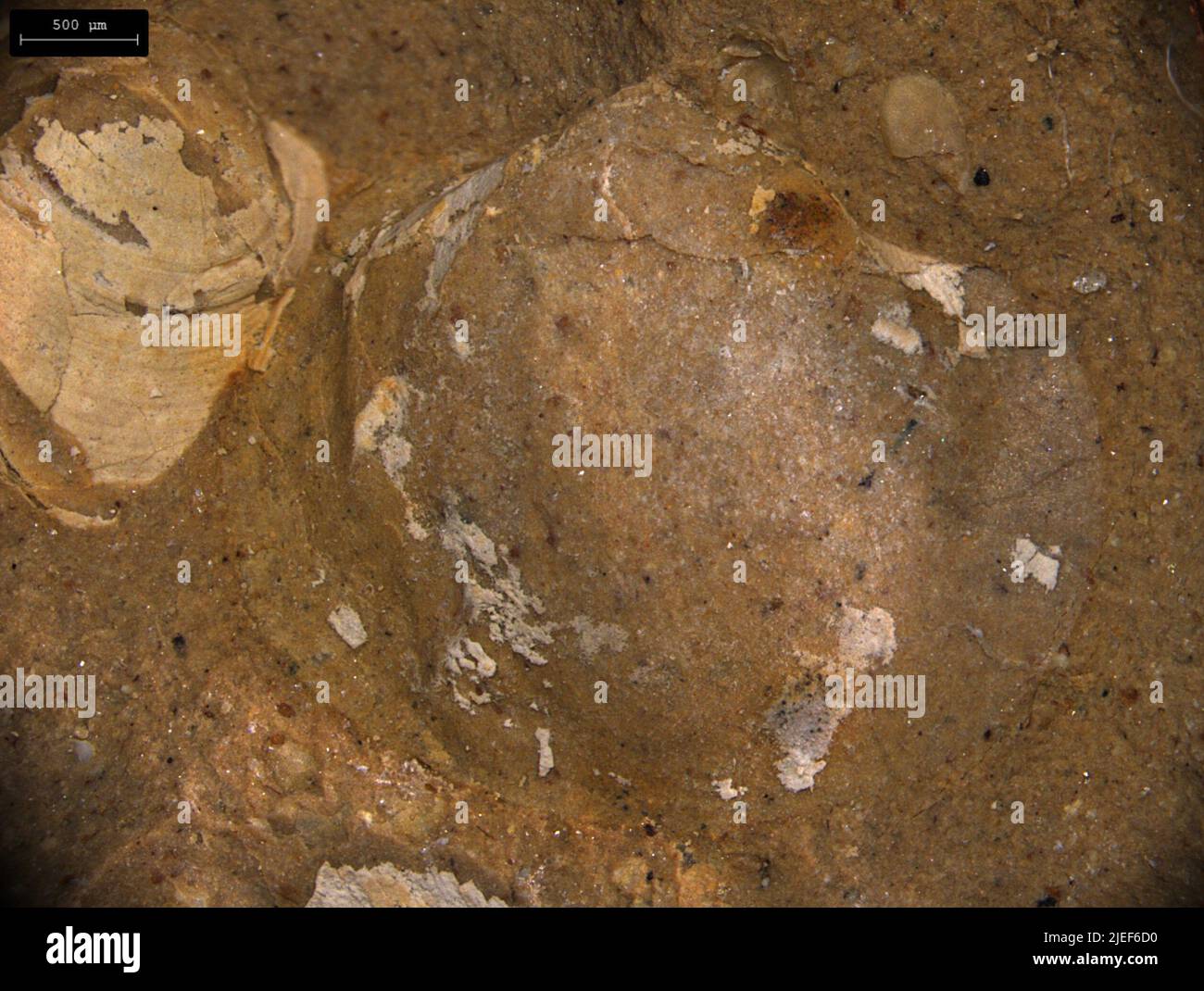 Stigall hi-res stock photography and images - Alamy