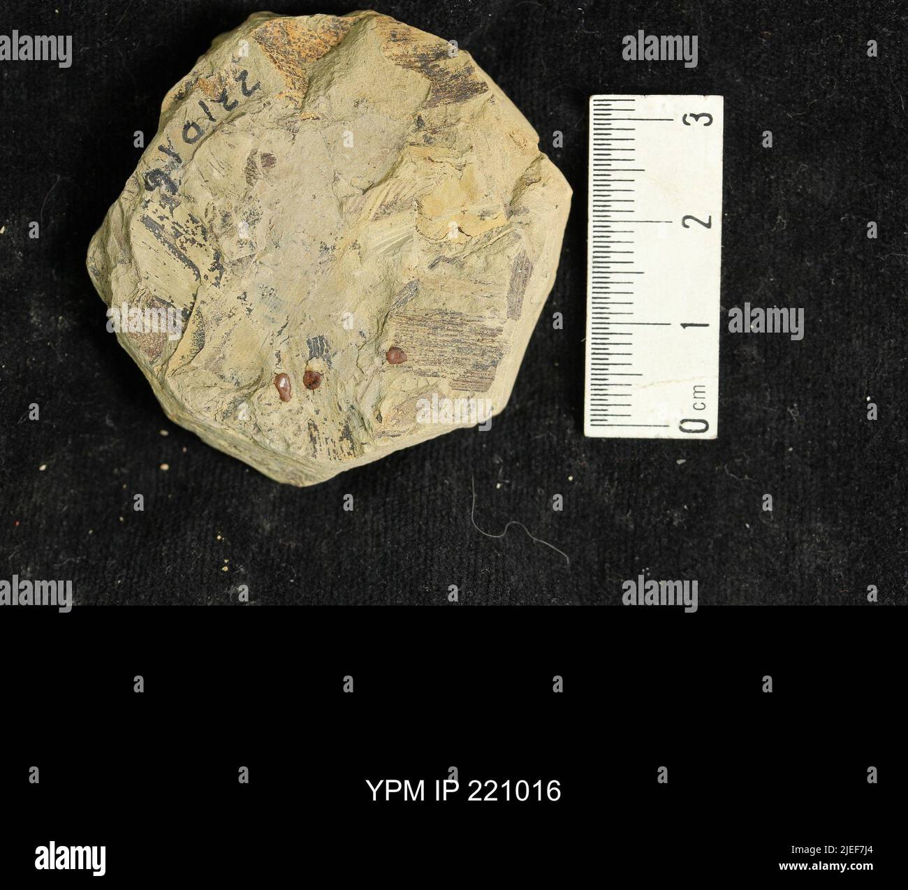 Scudder hi-res stock photography and images - Alamy