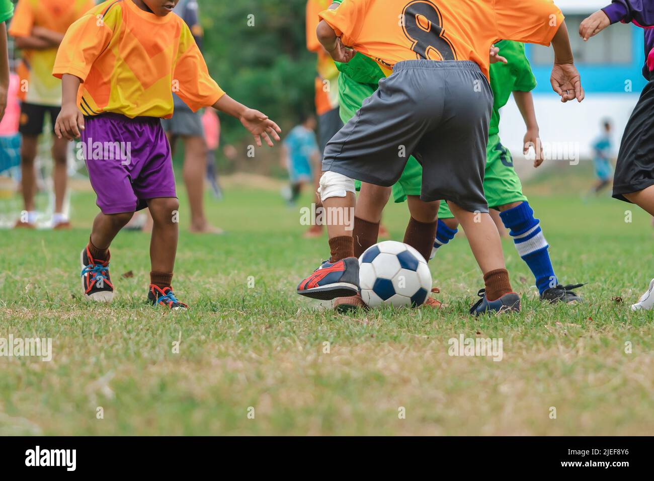 Football soccer children training class. Kindergarten school kids ...