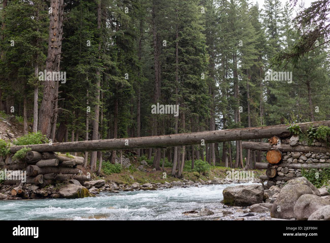 Beautiful scenery of a tree log bridge on water stream in Kumrat valley ...
