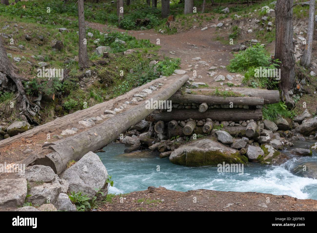 Hiking track in the kumrat forest using a tree trunk as a bridge to ...
