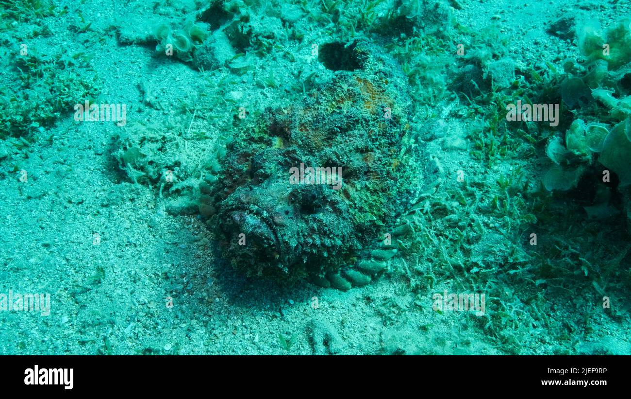 Green footage world hi-res stock photography and images - Alamy