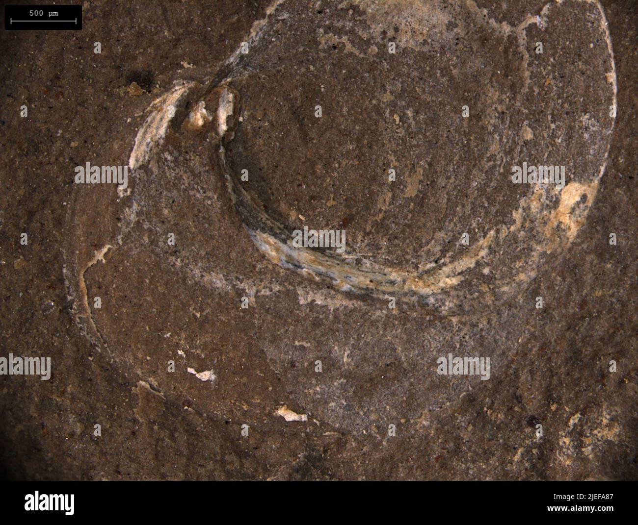 Stigall hi-res stock photography and images - Alamy