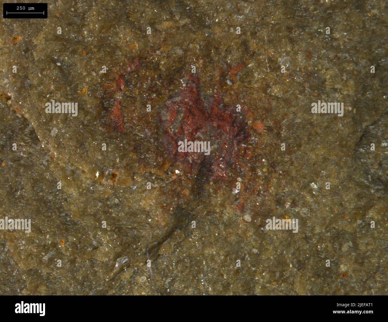 Lobopodia lobopods hi-res stock photography and images - Alamy