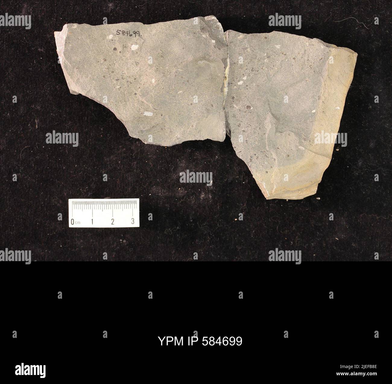 Obolus hi-res stock photography and images - Alamy