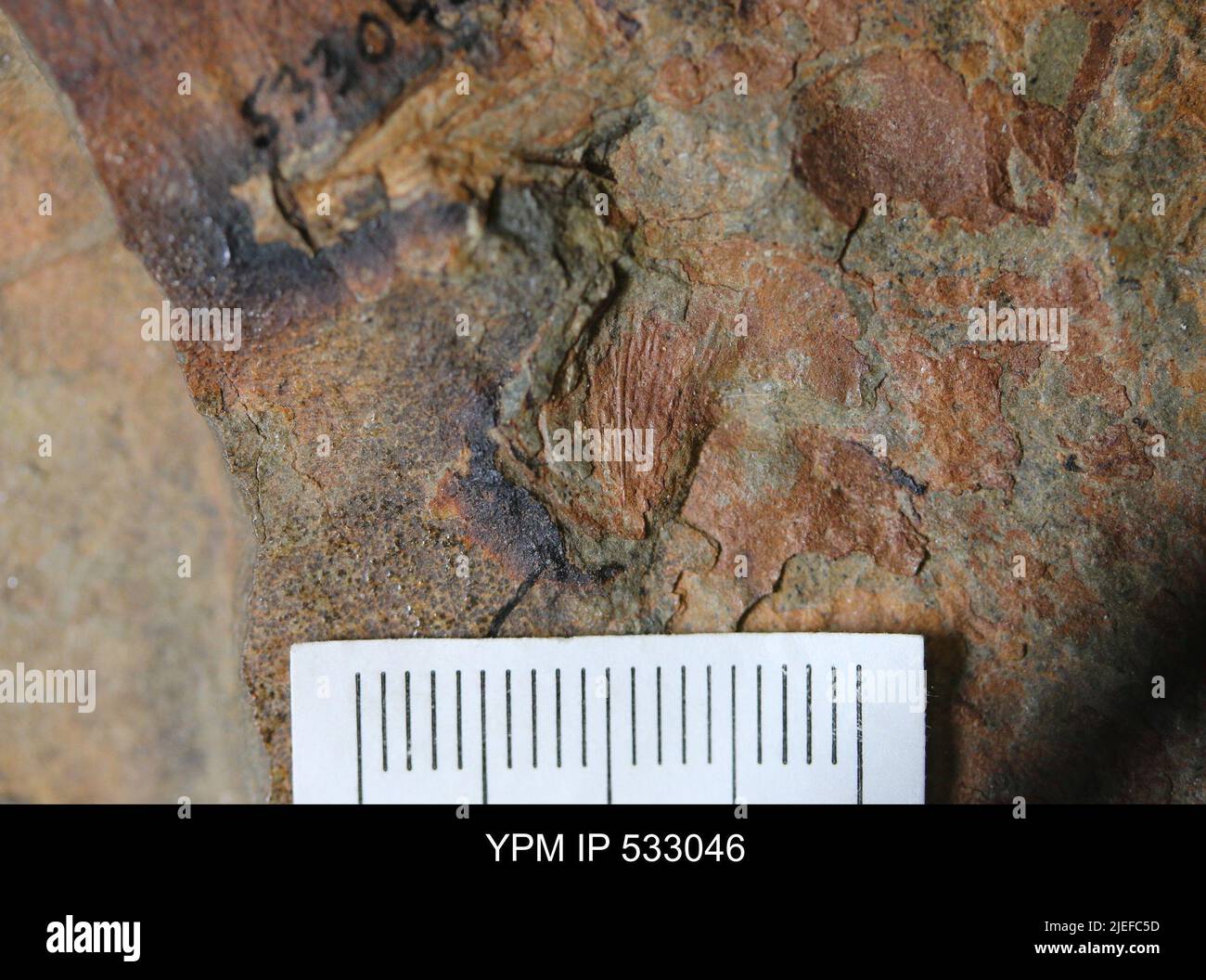 Conul hi-res stock photography and images - Alamy
