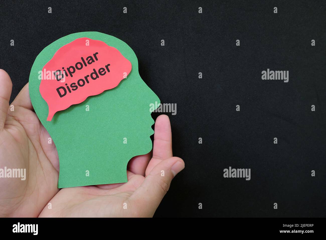 Bipolar Disorder patient care, recovery, therapy and treatment concept ...