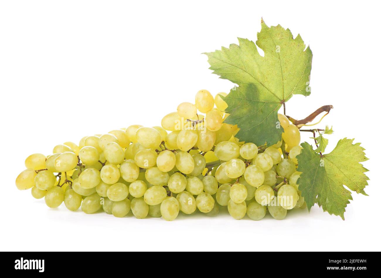 Abstract depth field background Cut Out Stock Images & Pictures - Alamy