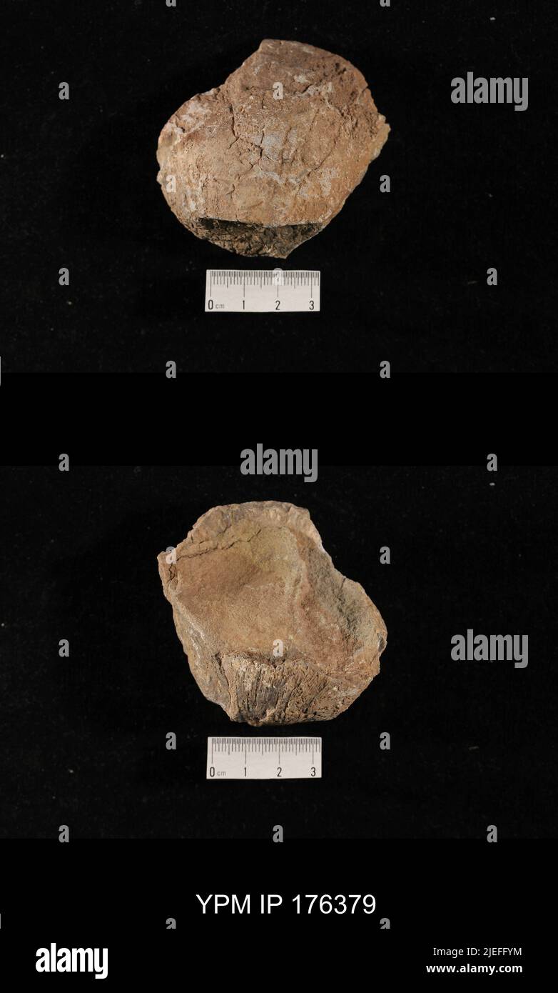 Kempei hi-res stock photography and images - Alamy