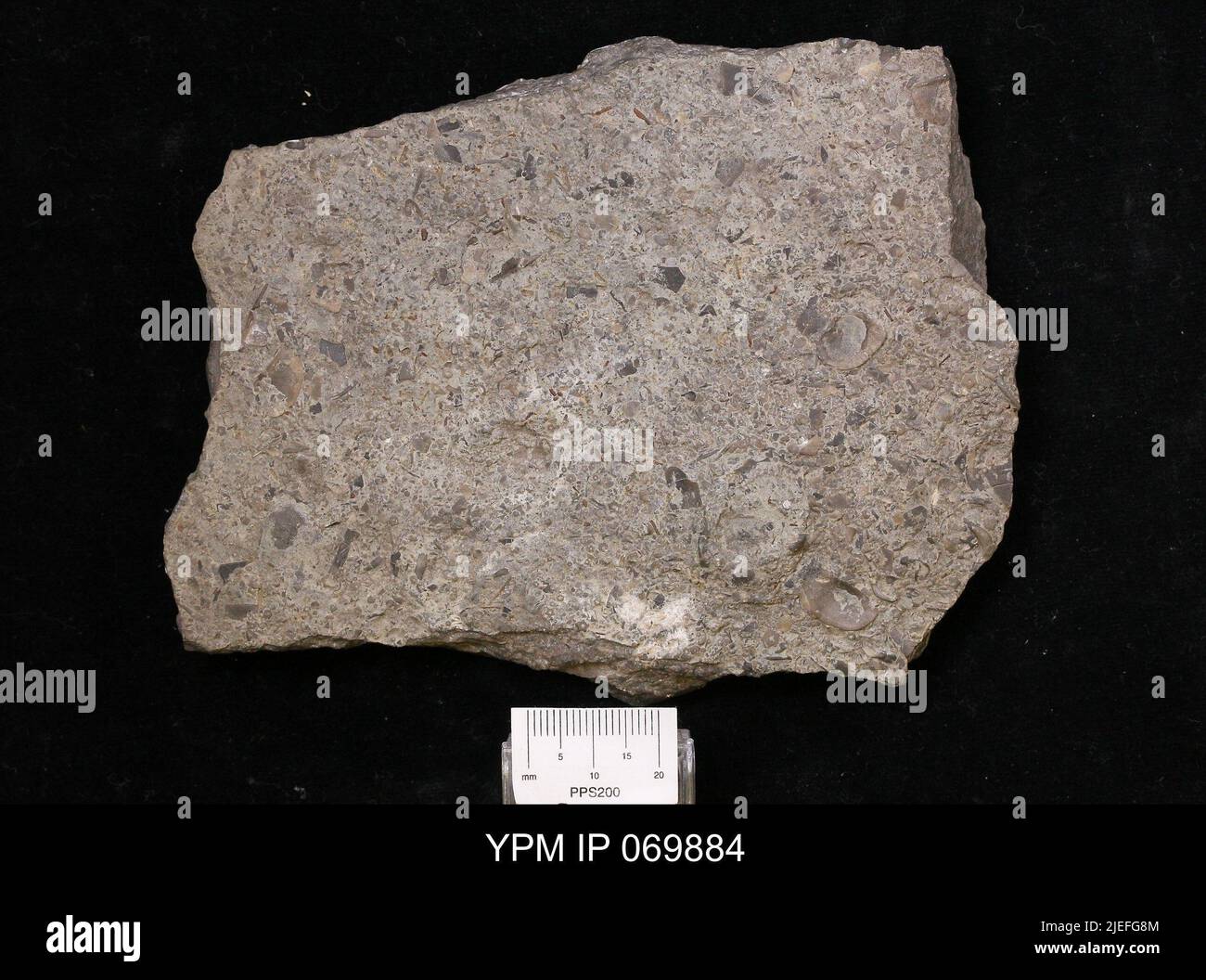 Facula hi-res stock photography and images - Alamy