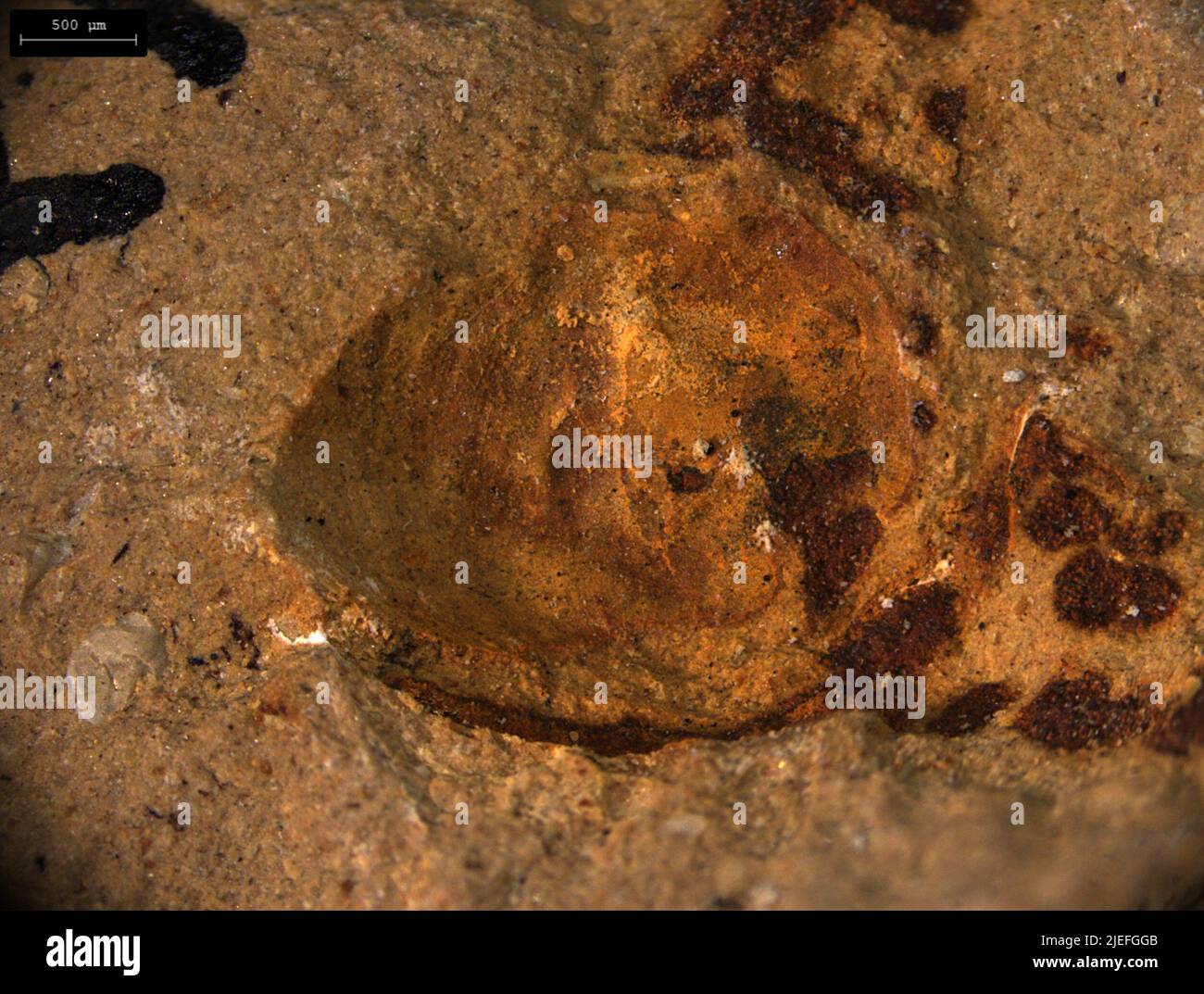 Stigall hi-res stock photography and images - Alamy