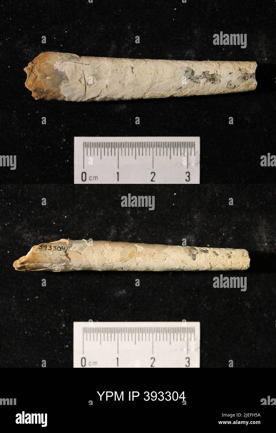 Perplexus hi-res stock photography and images - Alamy