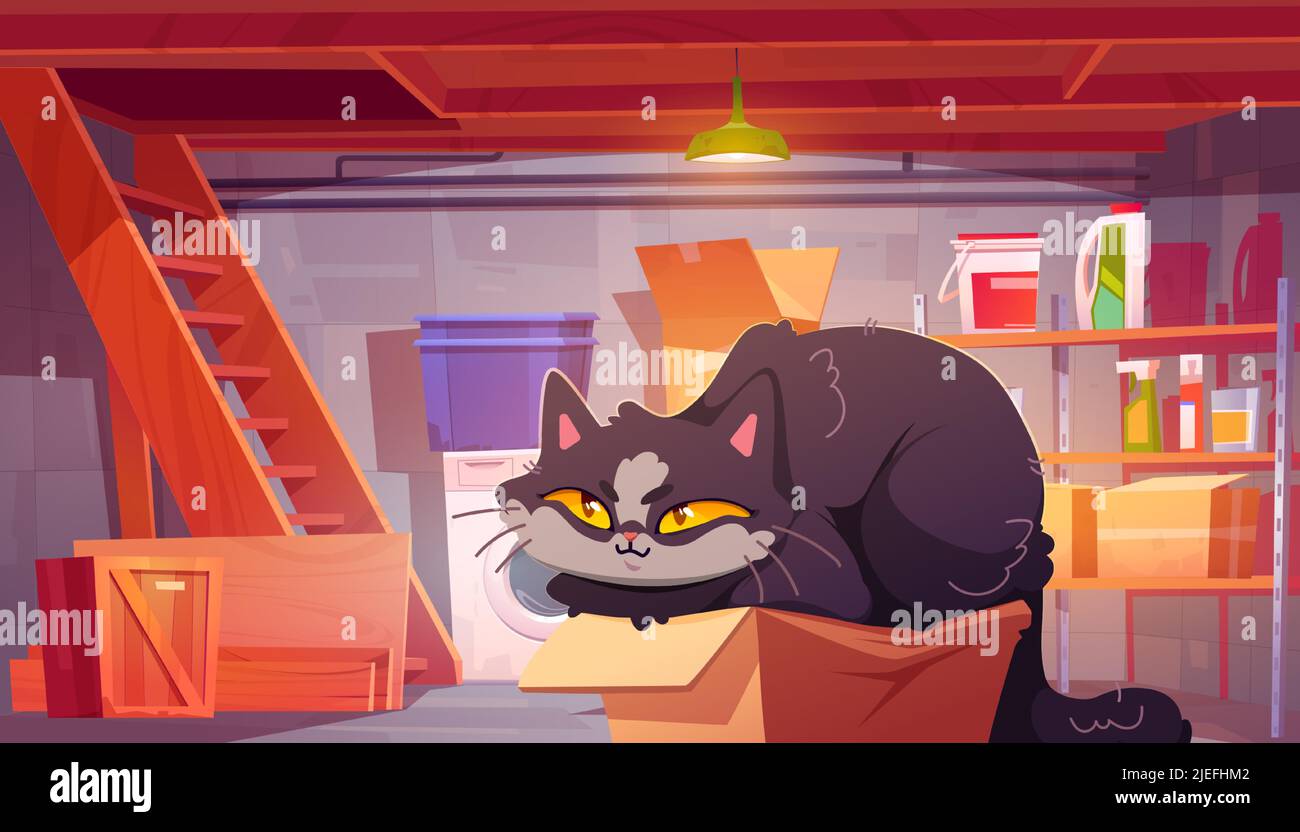 House basement with cute cat sitting in cardboard box. Vector cartoon ...