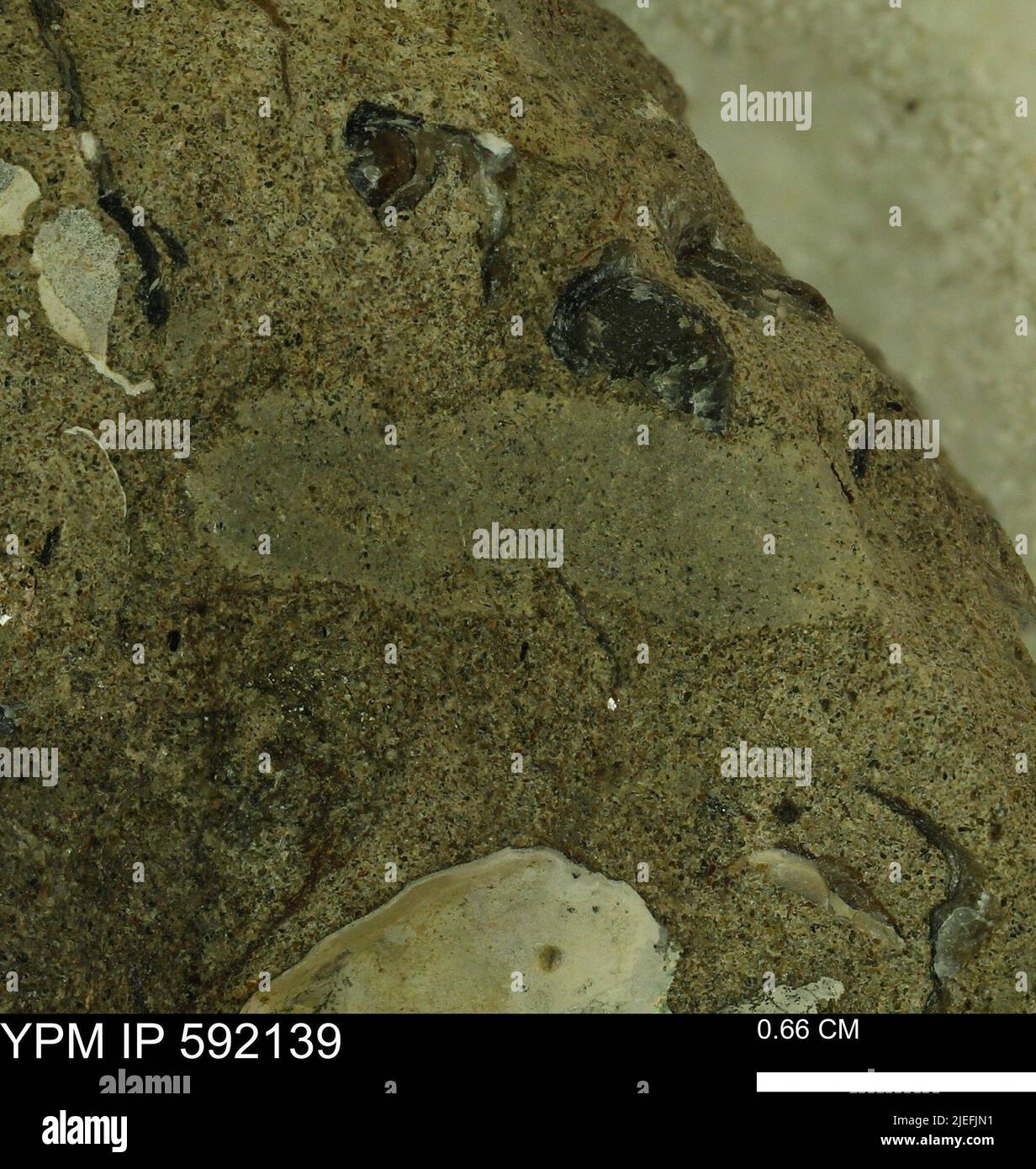 Lithic hi-res stock photography and images - Alamy