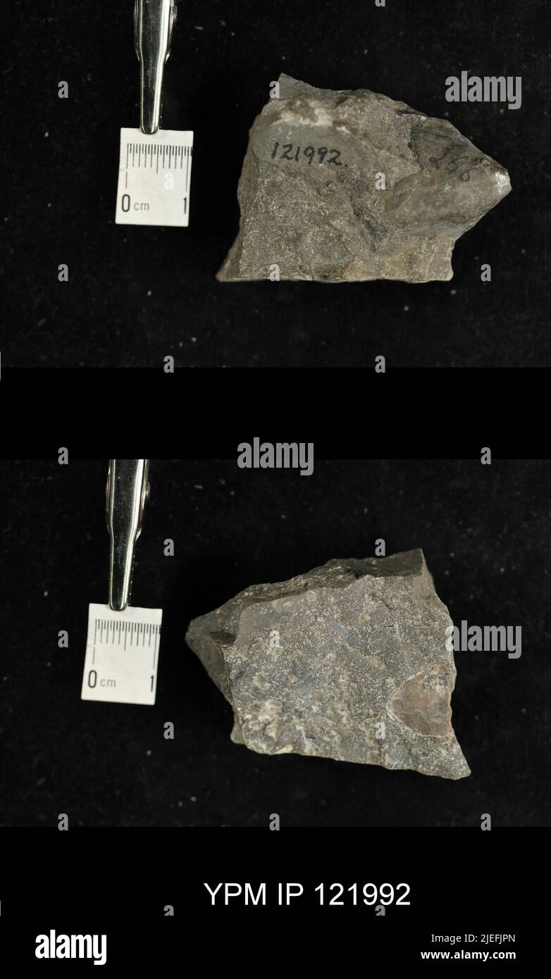 Pentamerida hi-res stock photography and images - Alamy