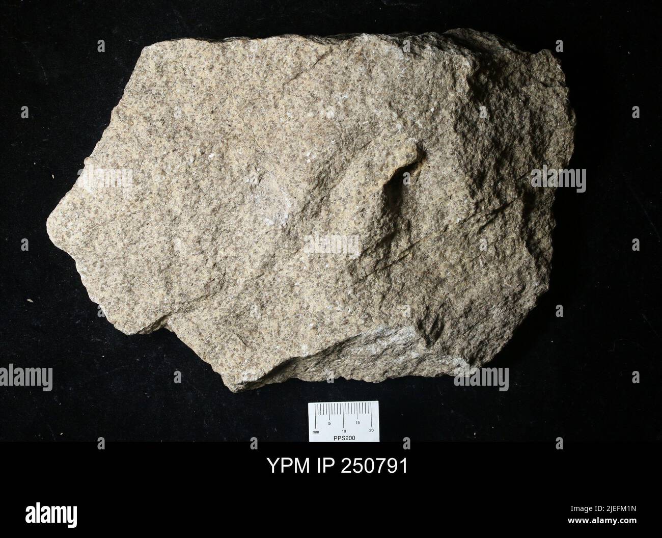 Lithologic hi-res stock photography and images - Alamy