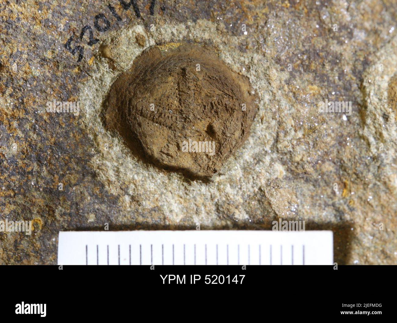 Scientific attachments hi-res stock photography and images - Alamy