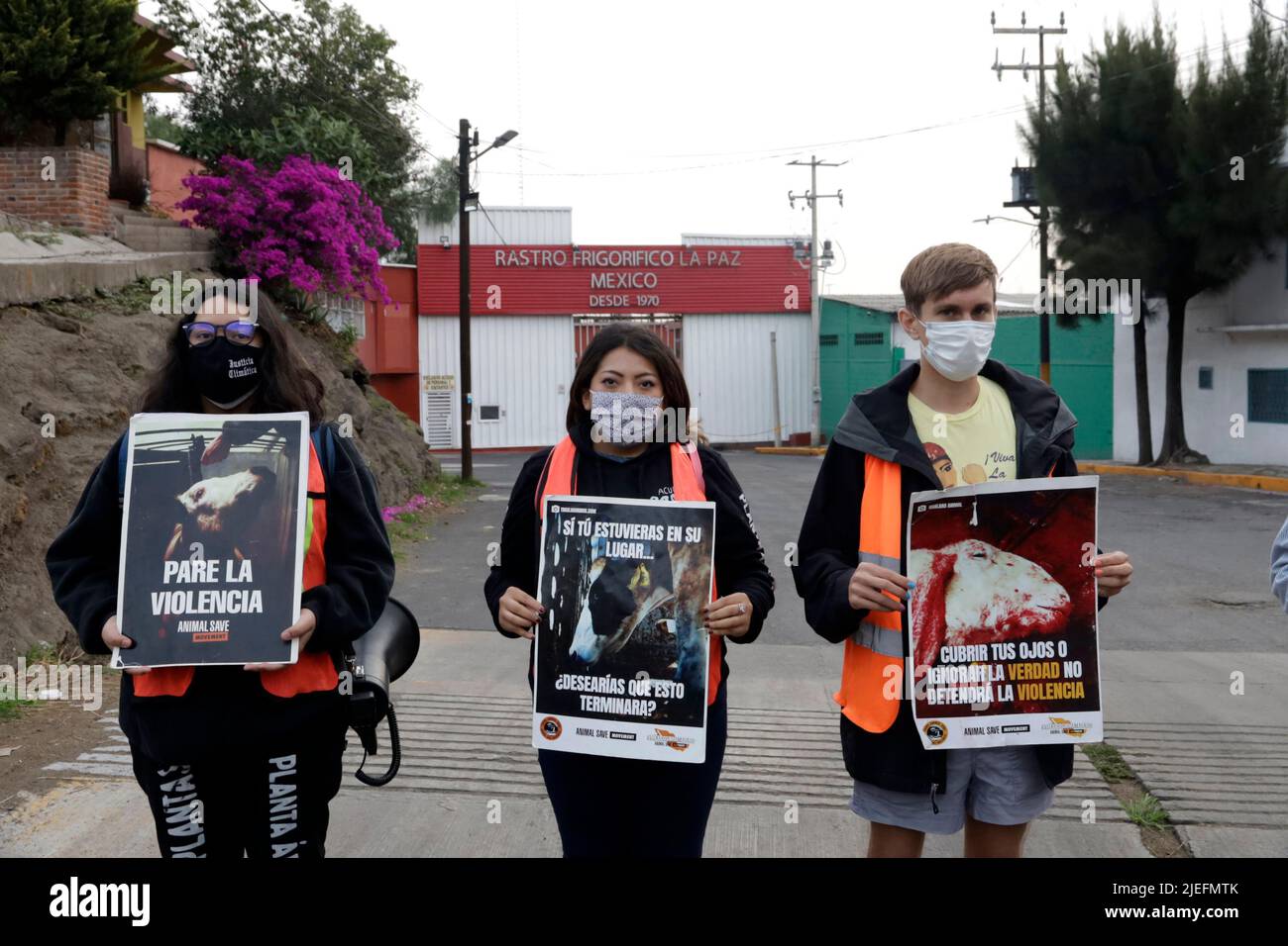 Animal save movement mexico hi-res stock photography and images - Alamy