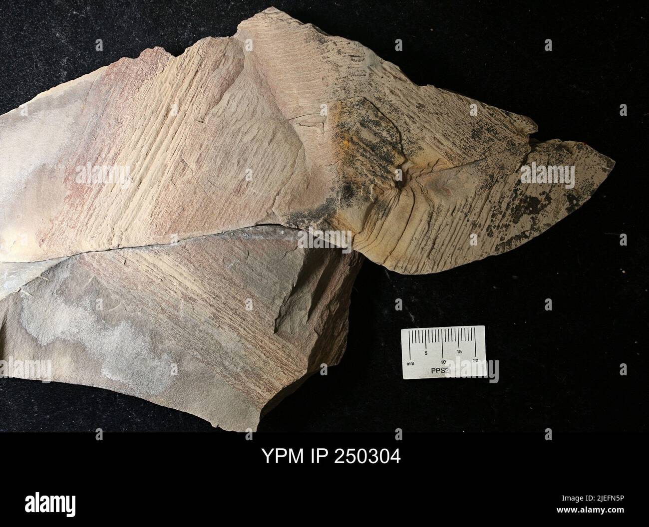 Mineral Halite; salt hopper Stock Photo - Alamy