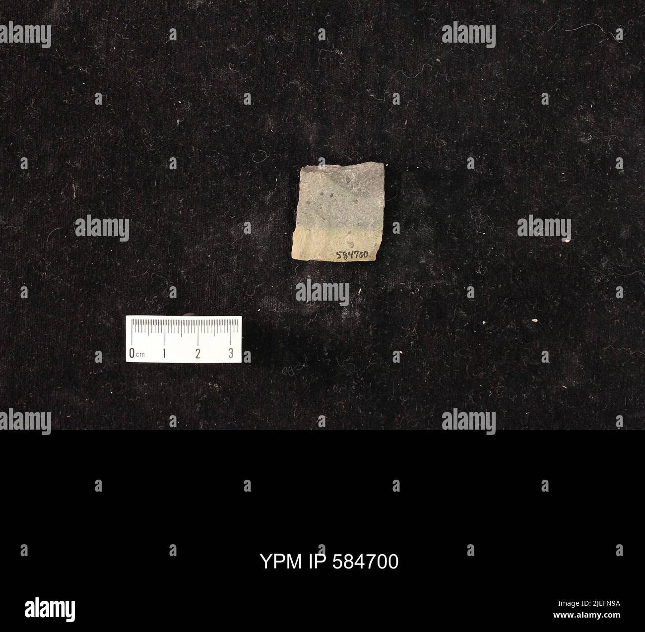 Obolus hi-res stock photography and images - Alamy