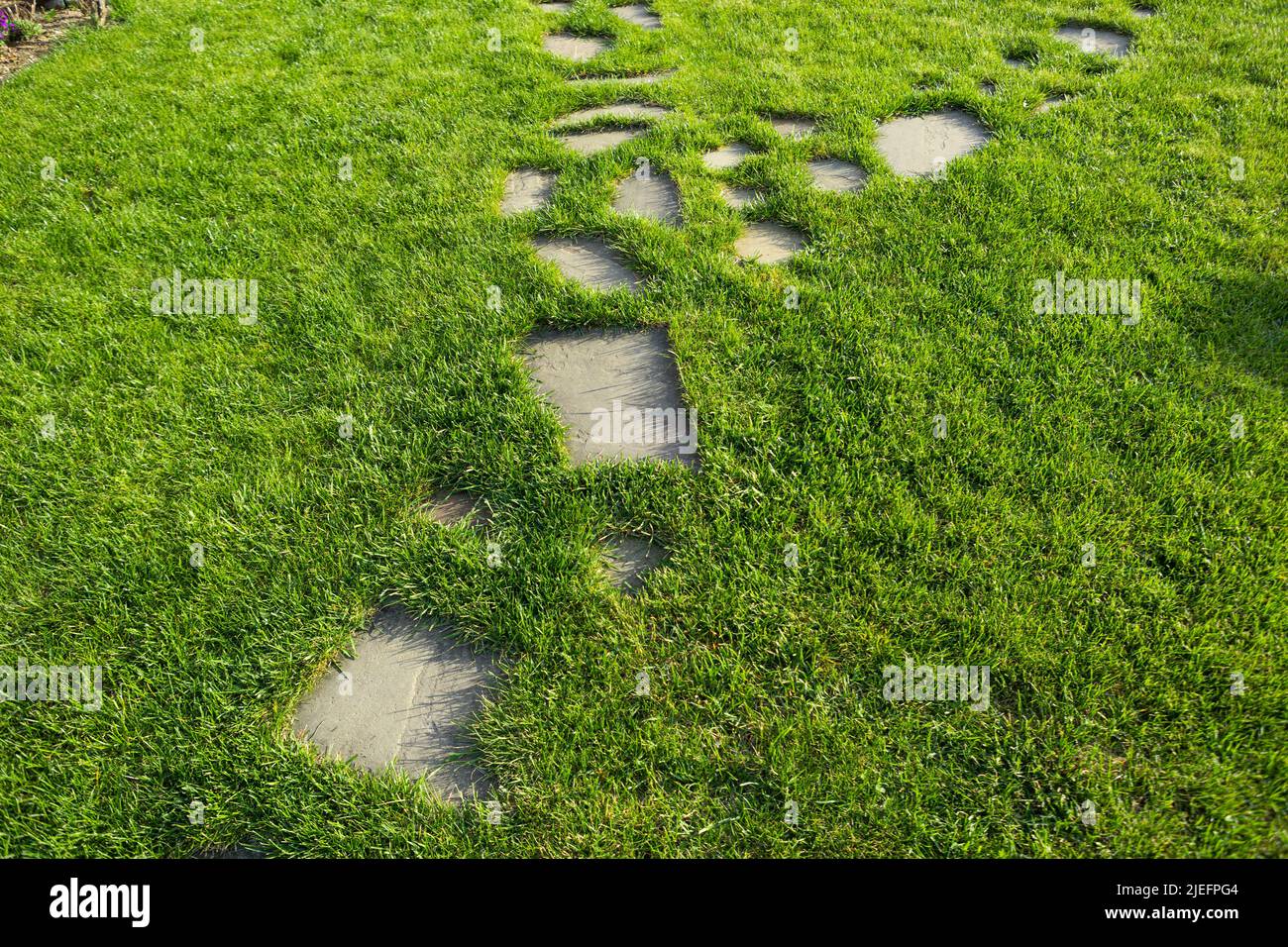 path in the garden, green lawns with stone walkways, garden landscaping ...