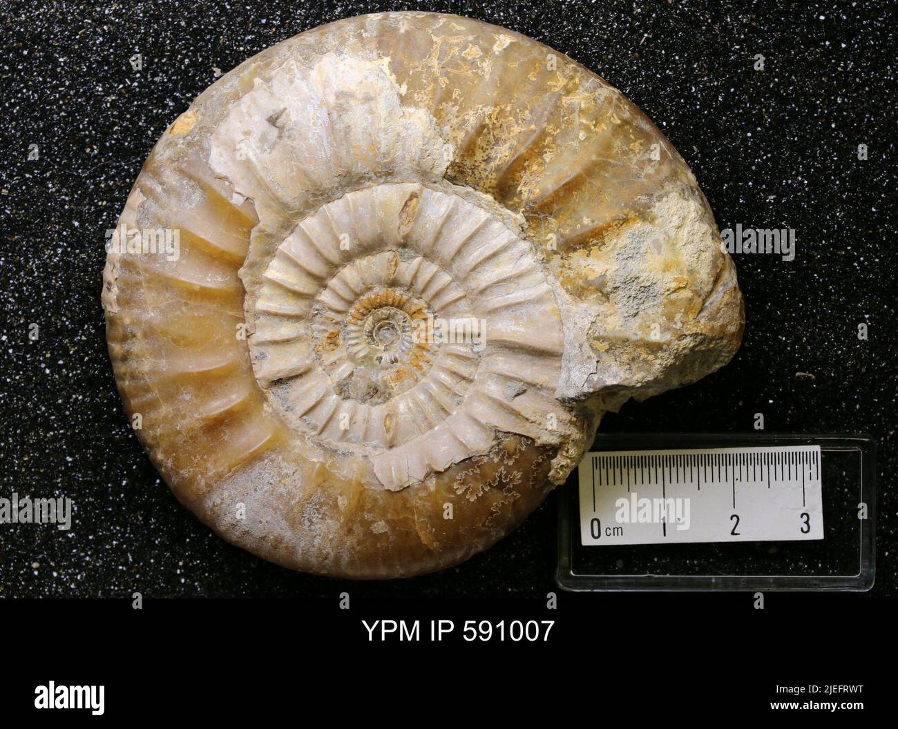 Salfeld hi-res stock photography and images - Alamy