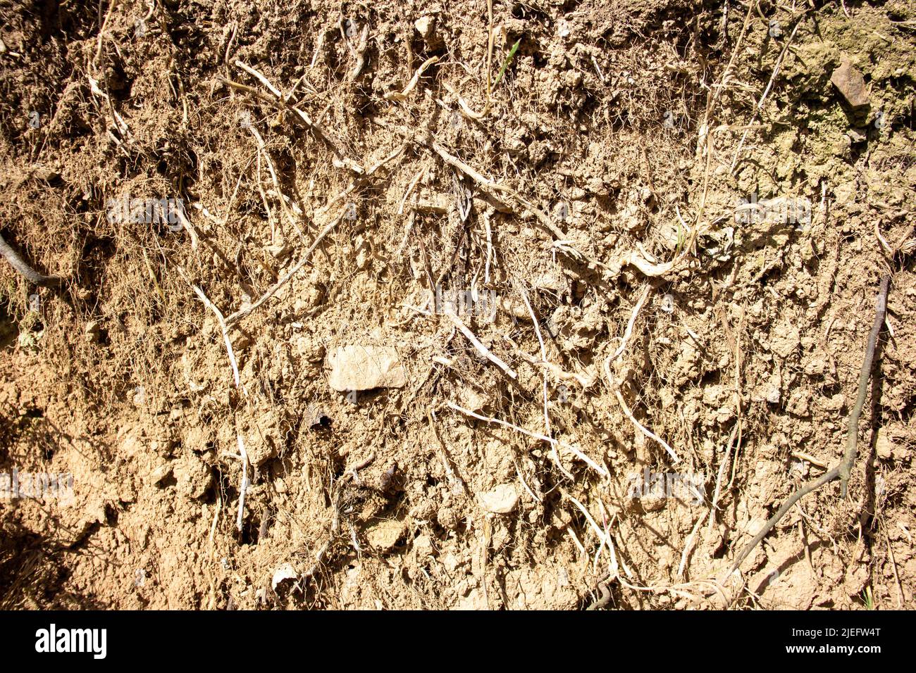 Soil house texture hi-res stock photography and images - Alamy