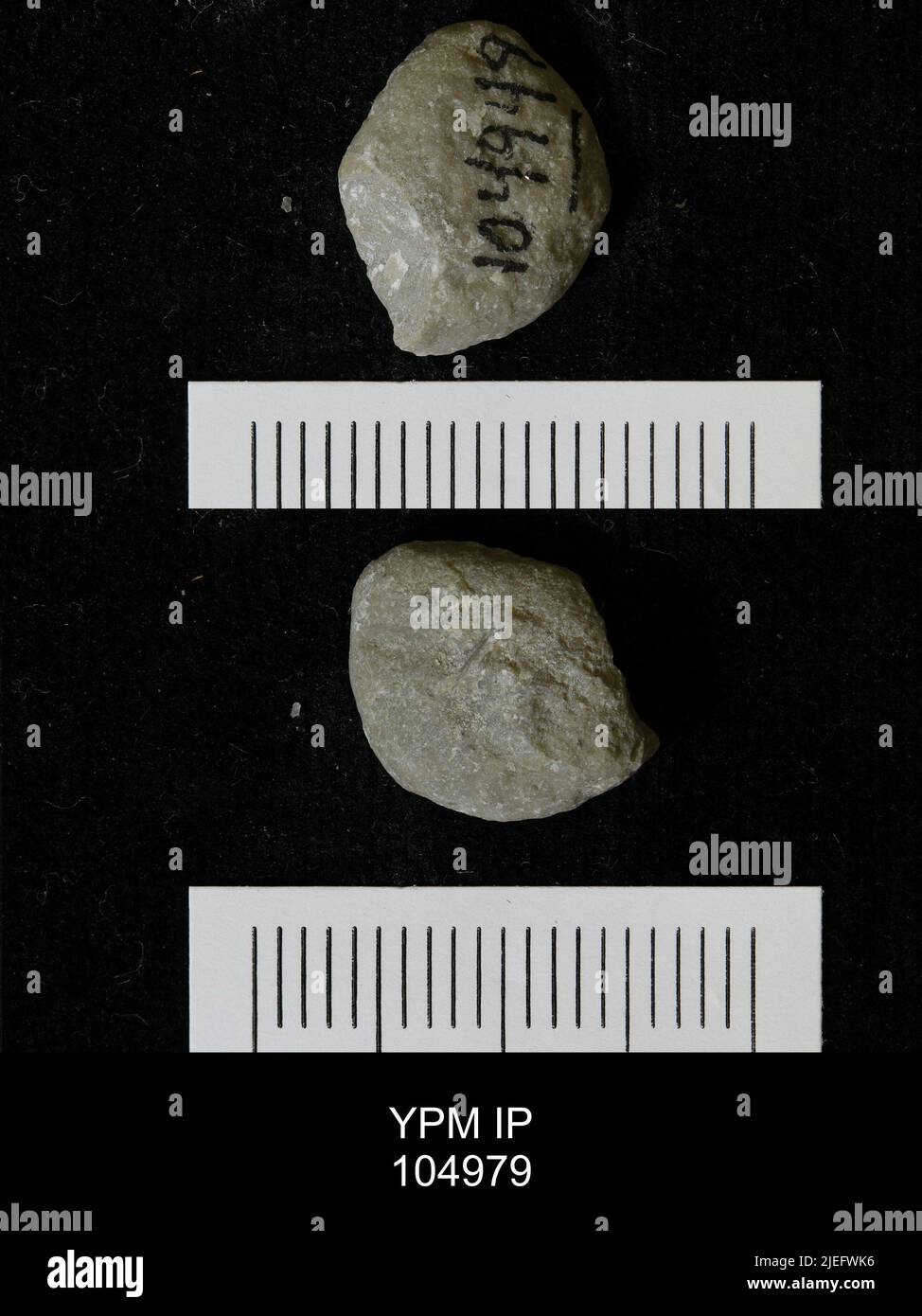 Capax hi-res stock photography and images - Alamy