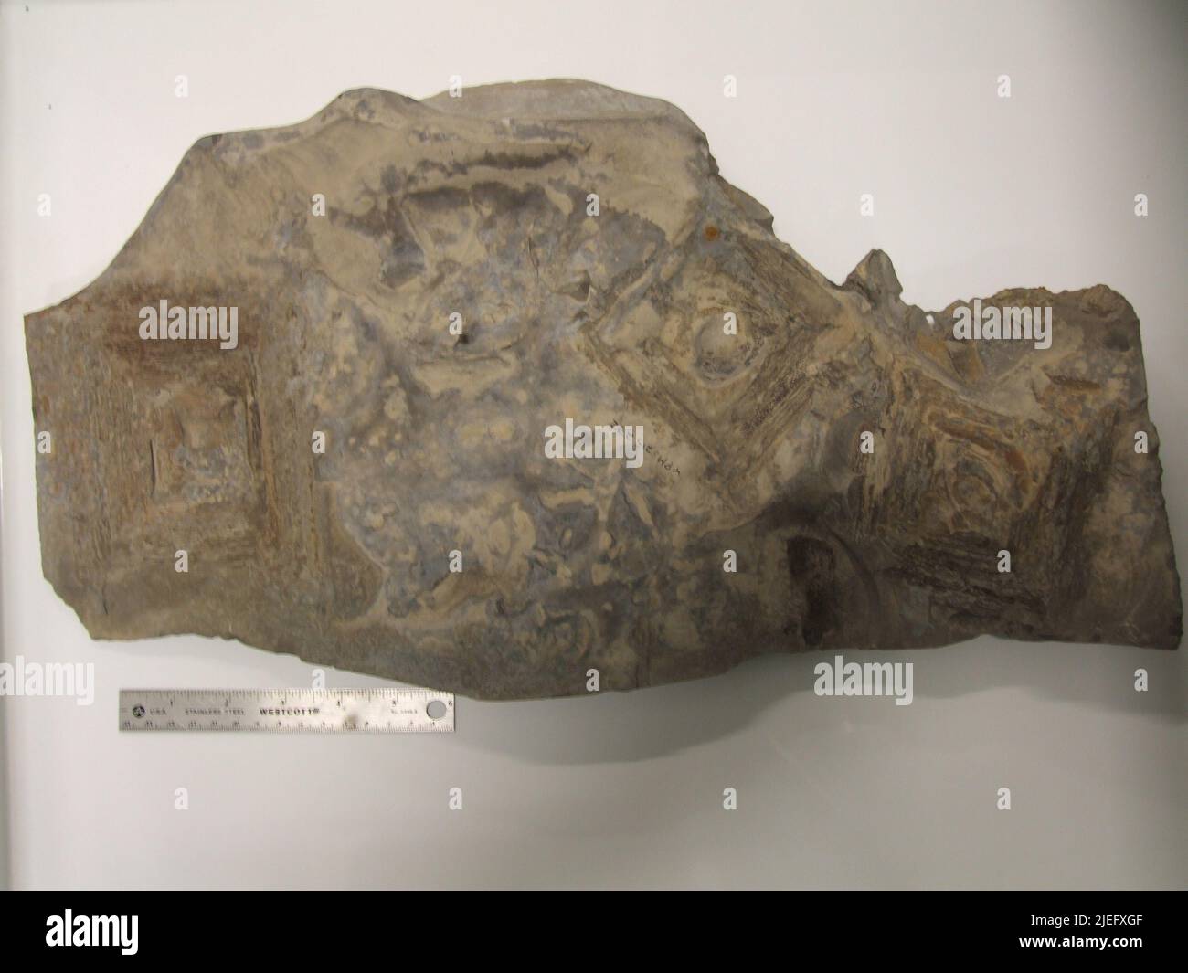 Salt hoppers hi-res stock photography and images - Alamy