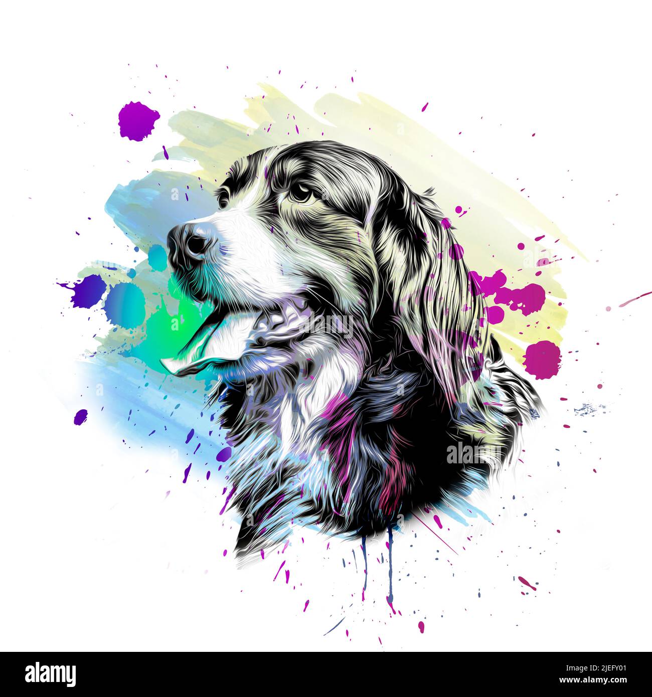 colored artistic dog isolated on white background color art Stock Photo ...