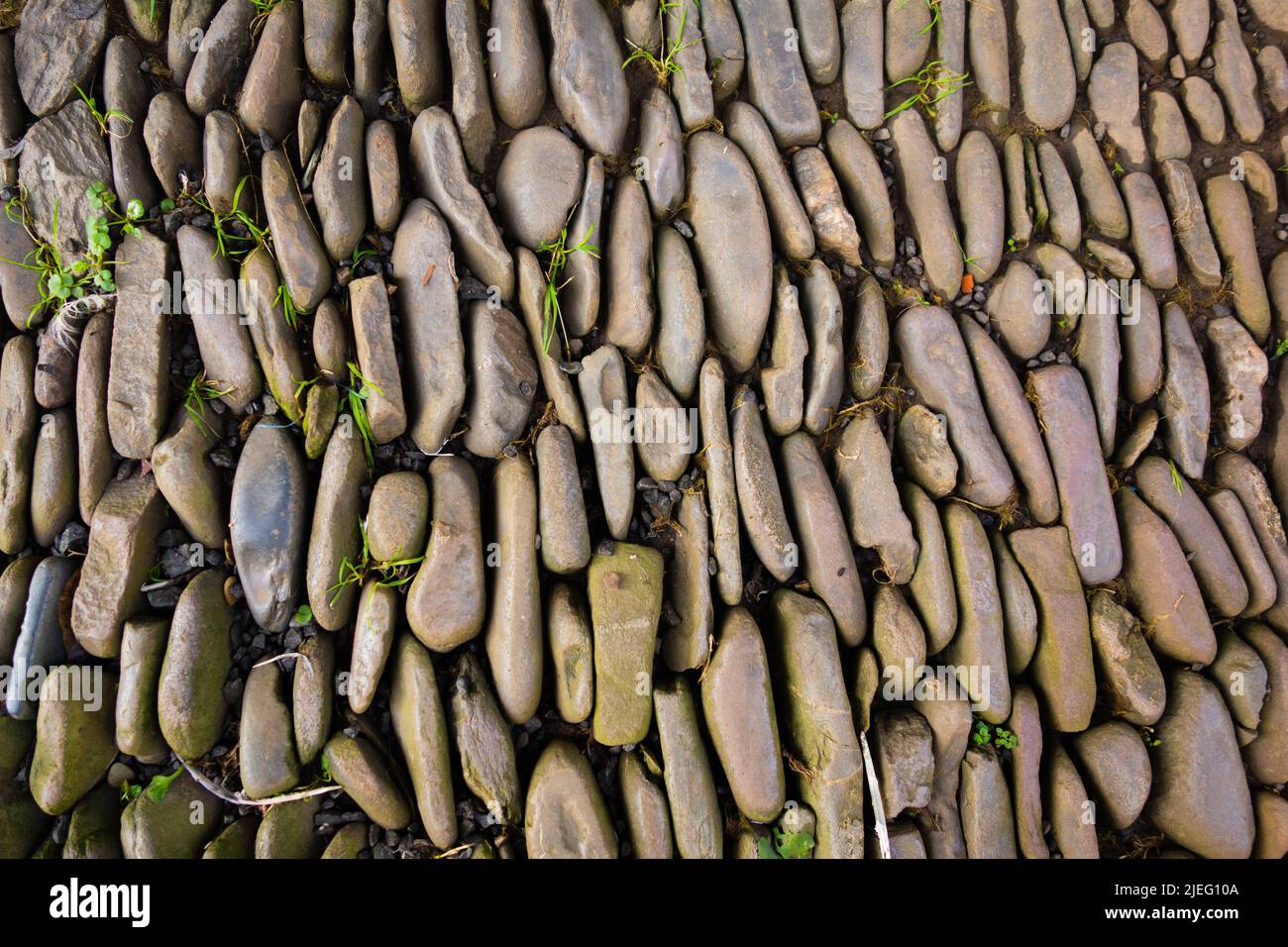 textured traditional cobblestone path Stock Photo - Alamy