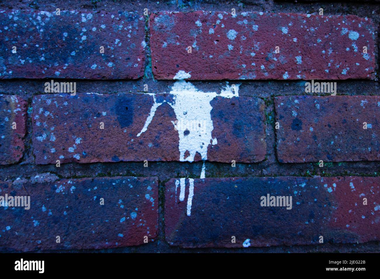 white paint splat on a brown and grey brick wall Stock Photo - Alamy