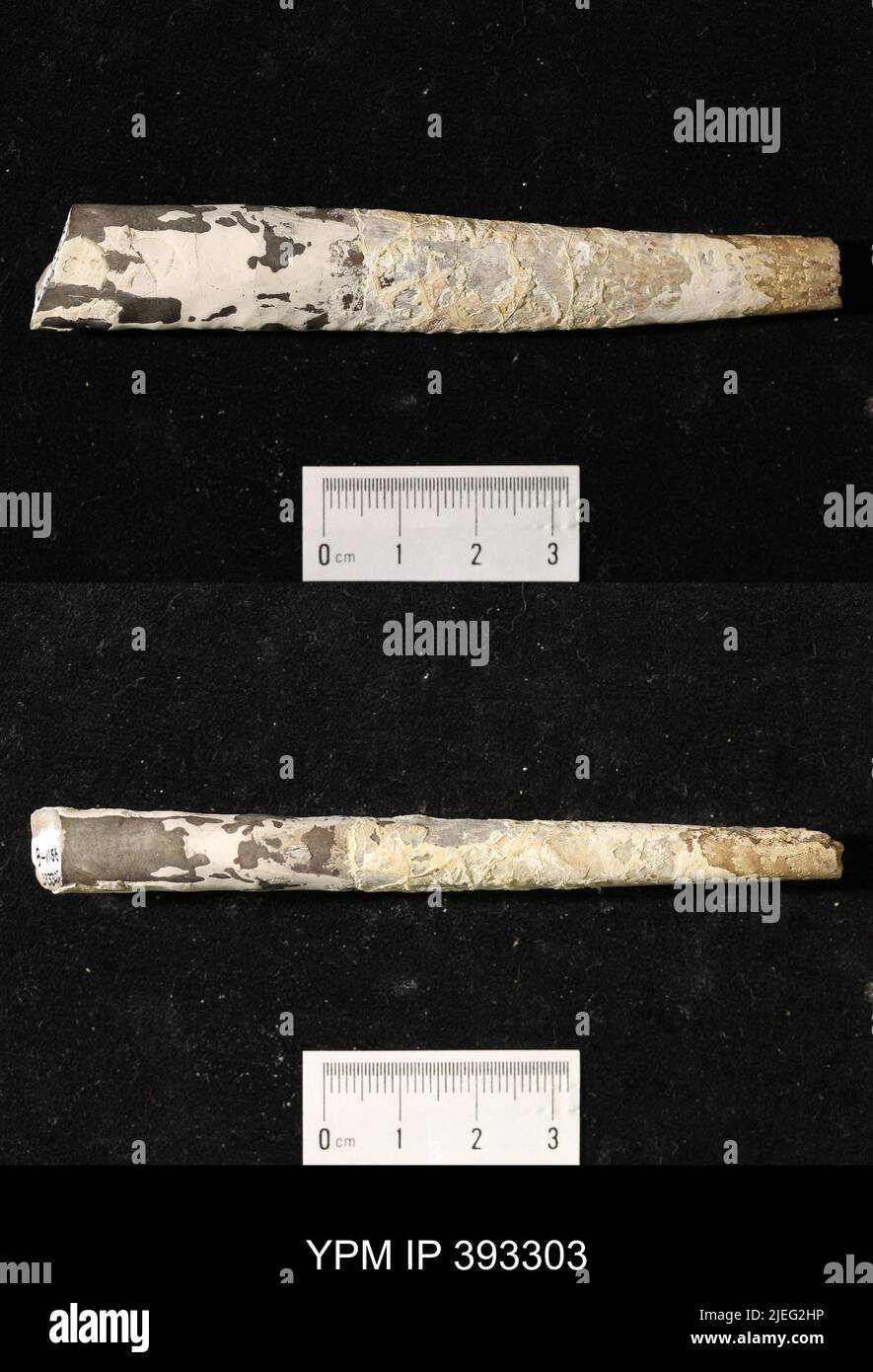 Perplexus hi-res stock photography and images - Alamy