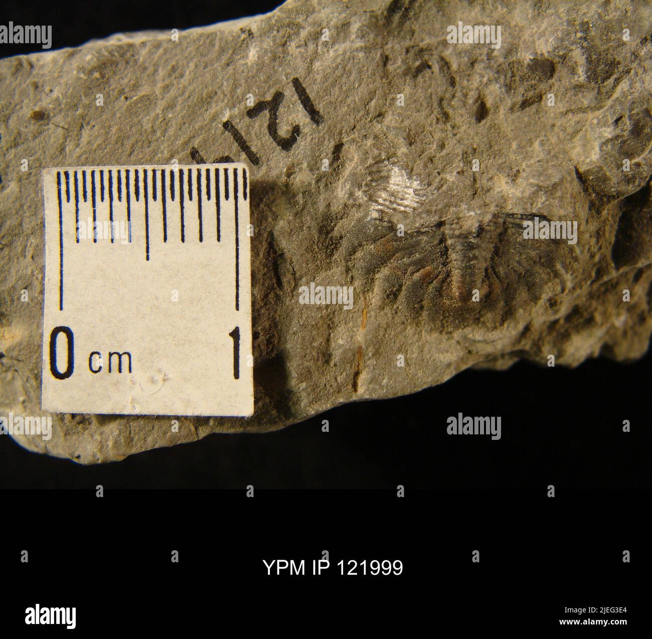 Boothi hi-res stock photography and images - Alamy