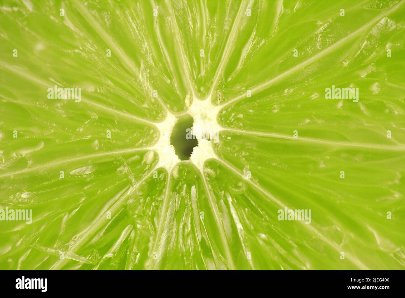 Macro close up surface texture Juicy slice of lime Stock Photo - Alamy