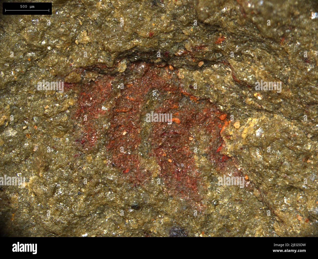 Lobopodia lobopods hi-res stock photography and images - Alamy