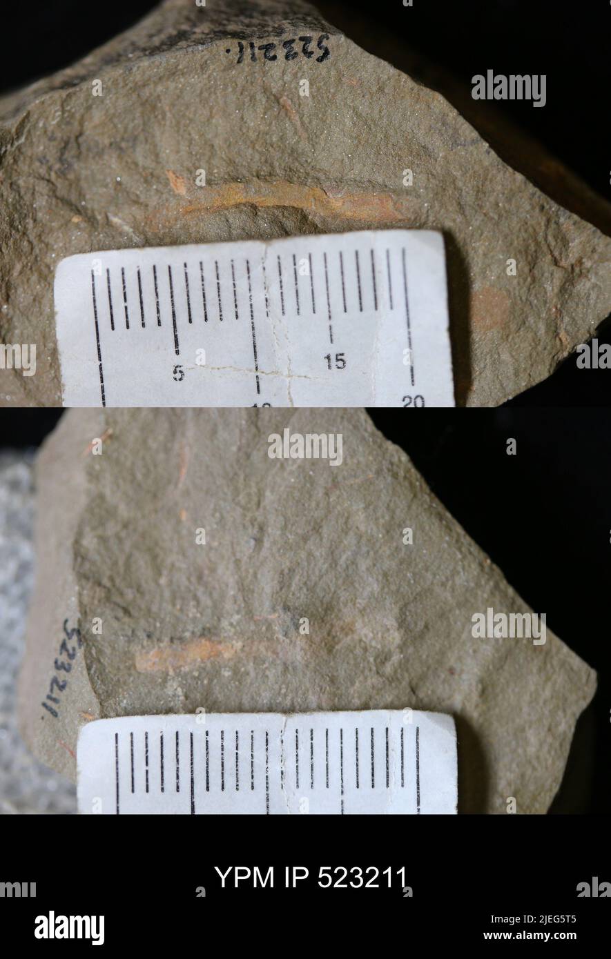 Fossil footprint formation hi-res stock photography and images - Alamy